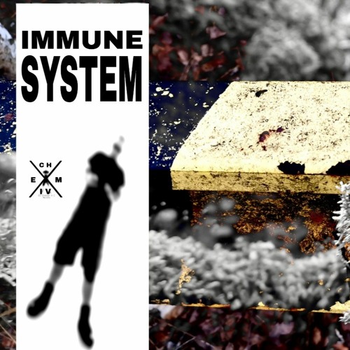 Stream immune SYSTEM DJset teaser de Christian IV E Machina @ munich ...
