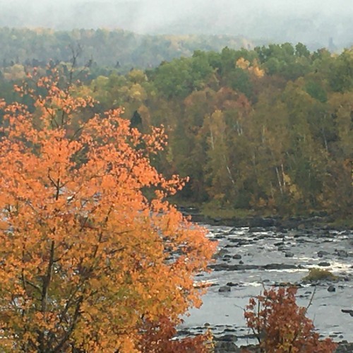 Stream Rollin on the River by Susan Engstrom McAuliffe | Listen online ...