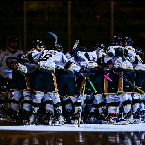 Stream Bears warmup mix 2024-25 by Cameron Allard | Listen online for ...