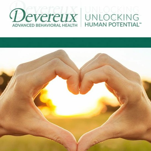 Stream Devereux CEO Bob Kreider With Special People by Vicari Group ...