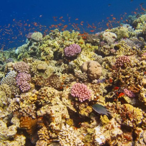 Stream Dmt Demons | Listen to インアニメシナンマイナンマイナンマイナンマイナンマイナンマイナンマイナンマイナン ...