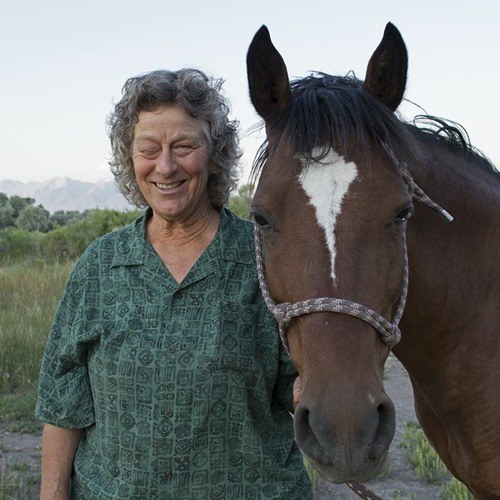 Stream episode Kathy Park - Readings by marksoco podcast | Listen ...