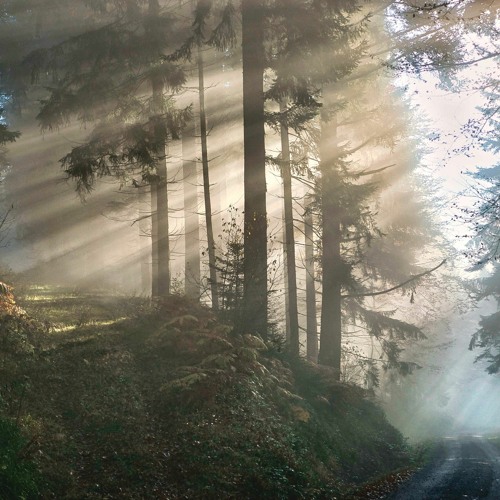 UNWA - UNWA Selected 033 2022-04-17