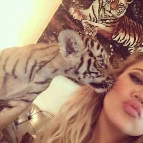 Stream ME TOO W/MAXO XOXO (PROD. YXNGWAGA) by zak hilton | Listen ...