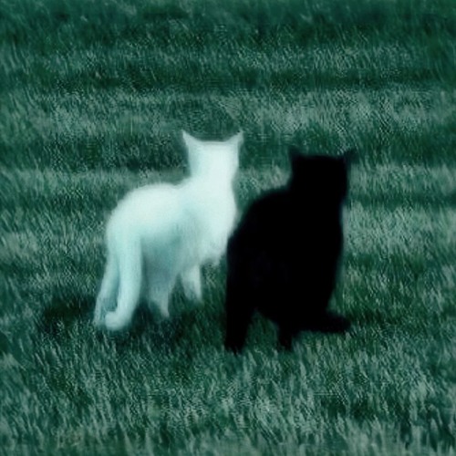 Stream wifiskeleton - nope your too late i already died 💔 (slowed ...