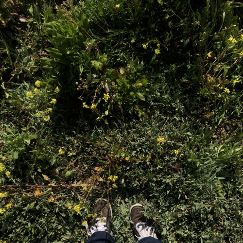 Stream LOVE MACHINE by 23wa | Listen online for free on SoundCloud