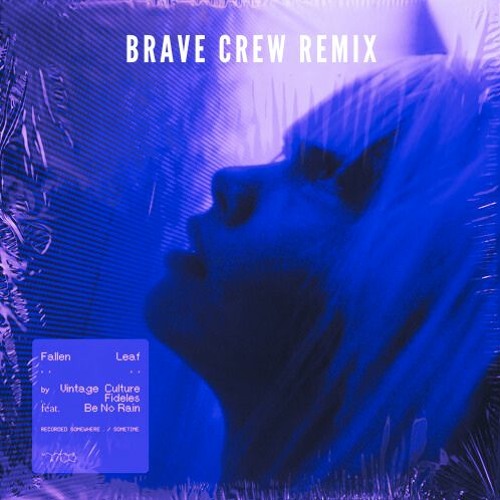 Stream Vintage Culture, Fideles - Fallen Leaf Feat. Be No Rain (BRAVE ...