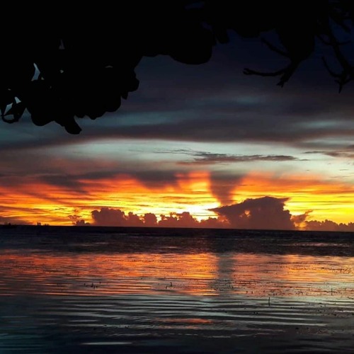 Stream Poniran fan nang~Kokoroots by Gina Mori | Listen online for free ...