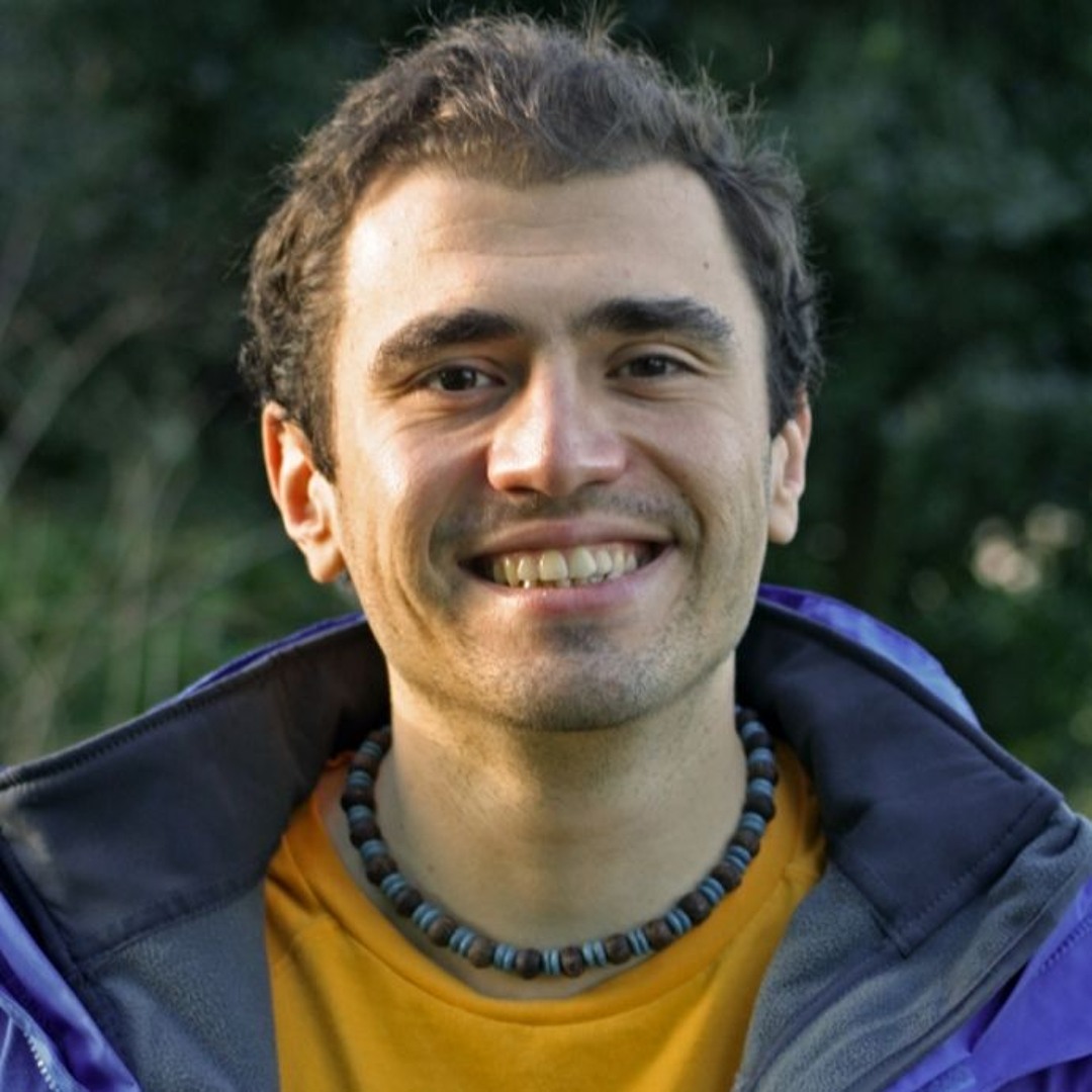 Stream Diogo Veríssimo on Naturen slår tillbaka by ICCS Oxford | Listen ...