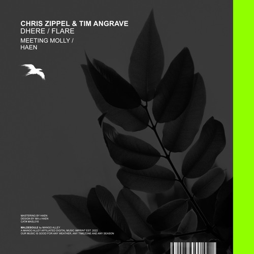 Stream Chris Zippel & Tim Angrave - Flare (Haen Remix) by Tim Angrave ...