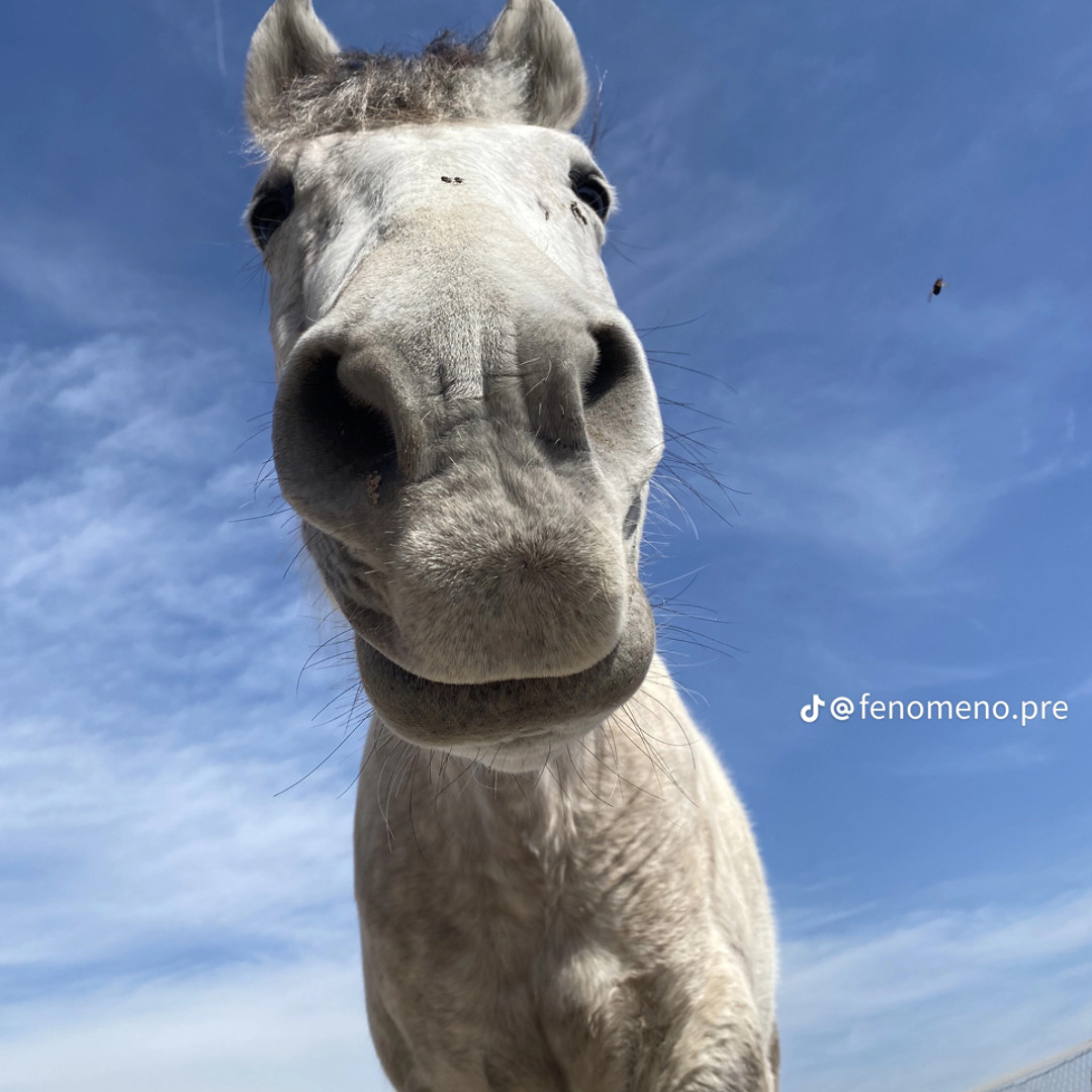 Stream Call Me Now - Michael Calfan x INNA | Eddie Chen Remix (Lyrics + Vietsub) ♫.mp3 from Lã ...