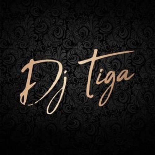 Stream Tiga - Promo Pack 2022 by Dj Tiga | Listen online for free on ...