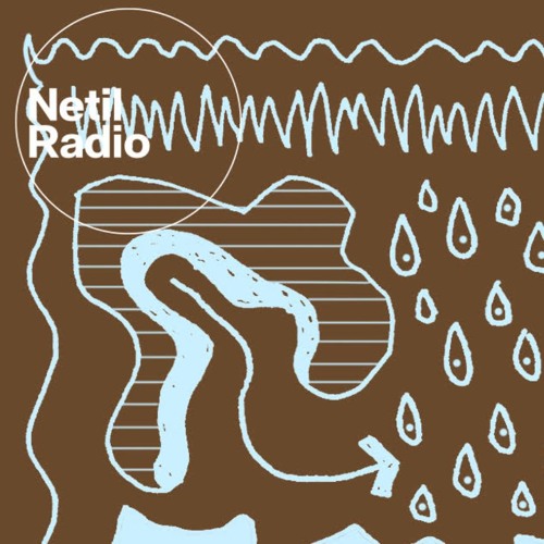 Stream 3WD Festival Show w/ Dani - 15th November 2024 by Netil Radio ...