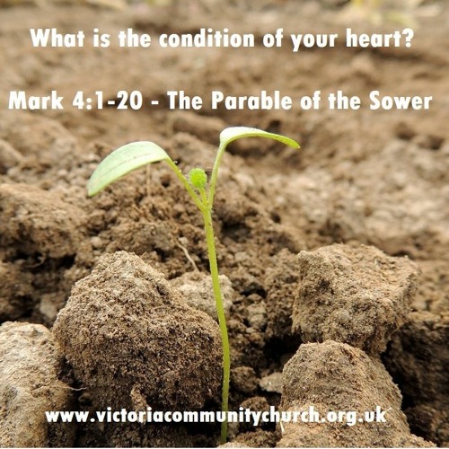 Stream What Is The Condition Of Your Heart The Parable Of The Sower