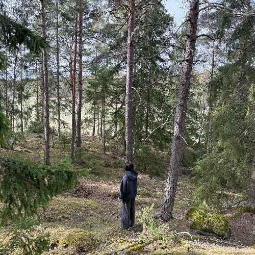 Stream powerless (original demo) by Ellie Blackburn | Listen online for ...