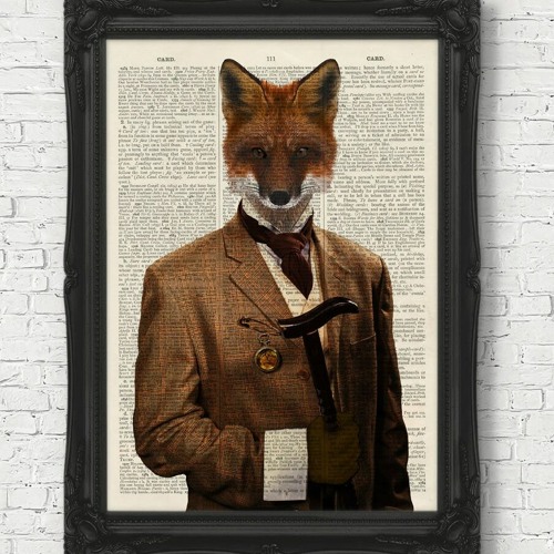 Stream DIVINATION by Mortimer the Fox | Listen online for free on ...