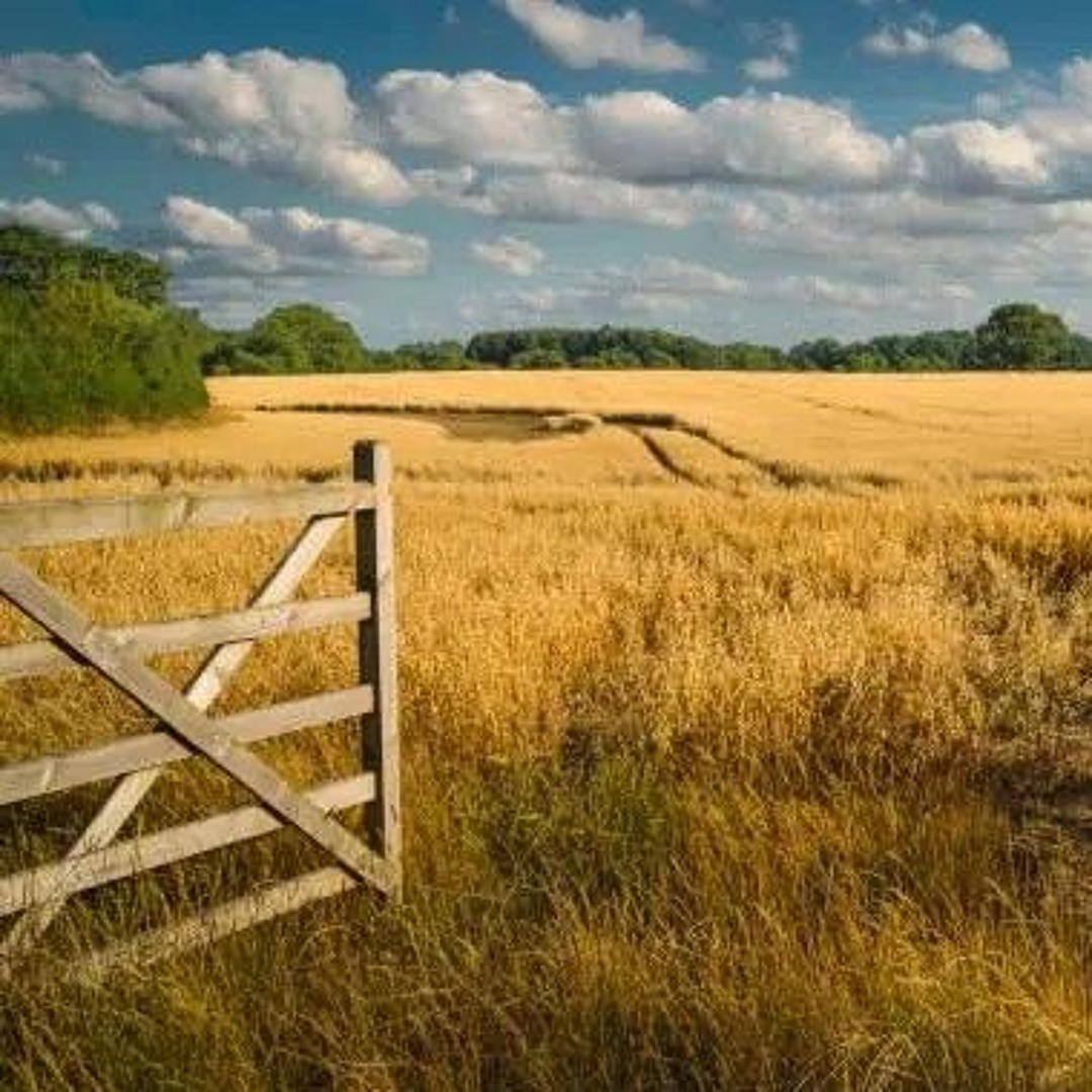 Stream Open Fields, Stephen Wake by Duo Duende | Listen online for free ...