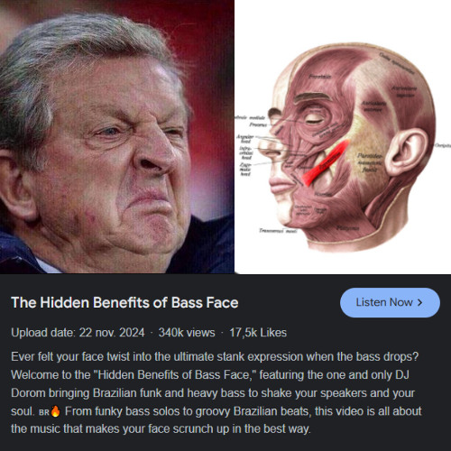 Stream "Hidden Benefits of Bass Face" (MASHUP DJ DOROM) by Dj Dorom ...