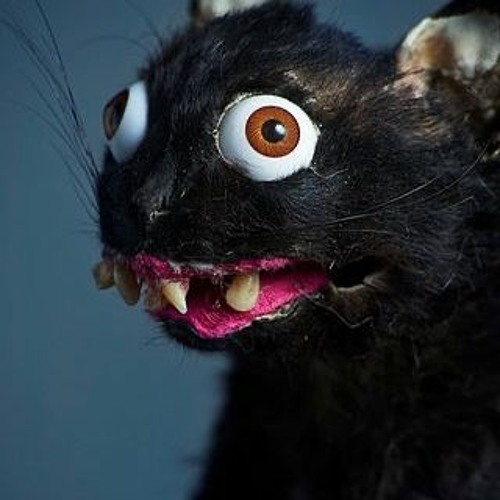 Stream Splat Cat by Charlie Tuesday Gates and Daniel Murphy by Zanno ...