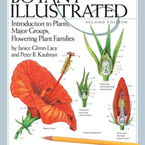 Stream Access Pdf 💘 Botany Illustrated Introduction To Plants Major Groups Flowering P By