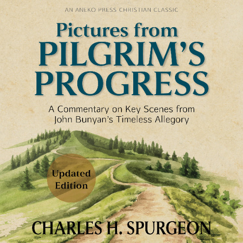 Stream Christian at the Cross (Ch. 6) - Pictures from Pilgrim’s ...