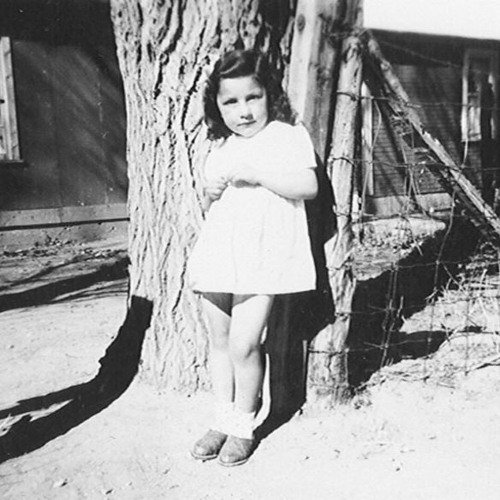 Stream episode Oral history interview of Virginia Castro, 2019.38.1 by ...