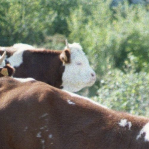 Stream BBL Drizzy - Lifting Solo Version by Minerva | Listen online for ...