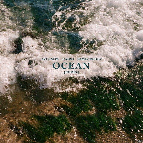 Stream Ocean Remix - Avi Snow x Cairo x Tamir Regev by Avi Snow ...