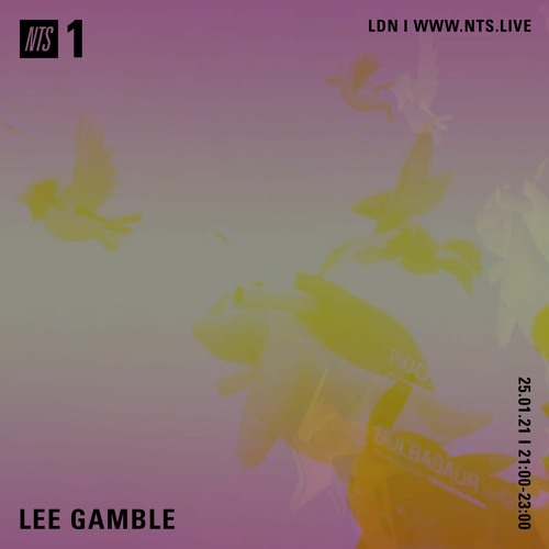 Stream Lee Gamble — NTS Jan 21' by Lee Gamble | Listen online for free ...