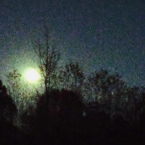 Stream The Moon Followed Me Home by Jerry Bruno | Listen online for ...