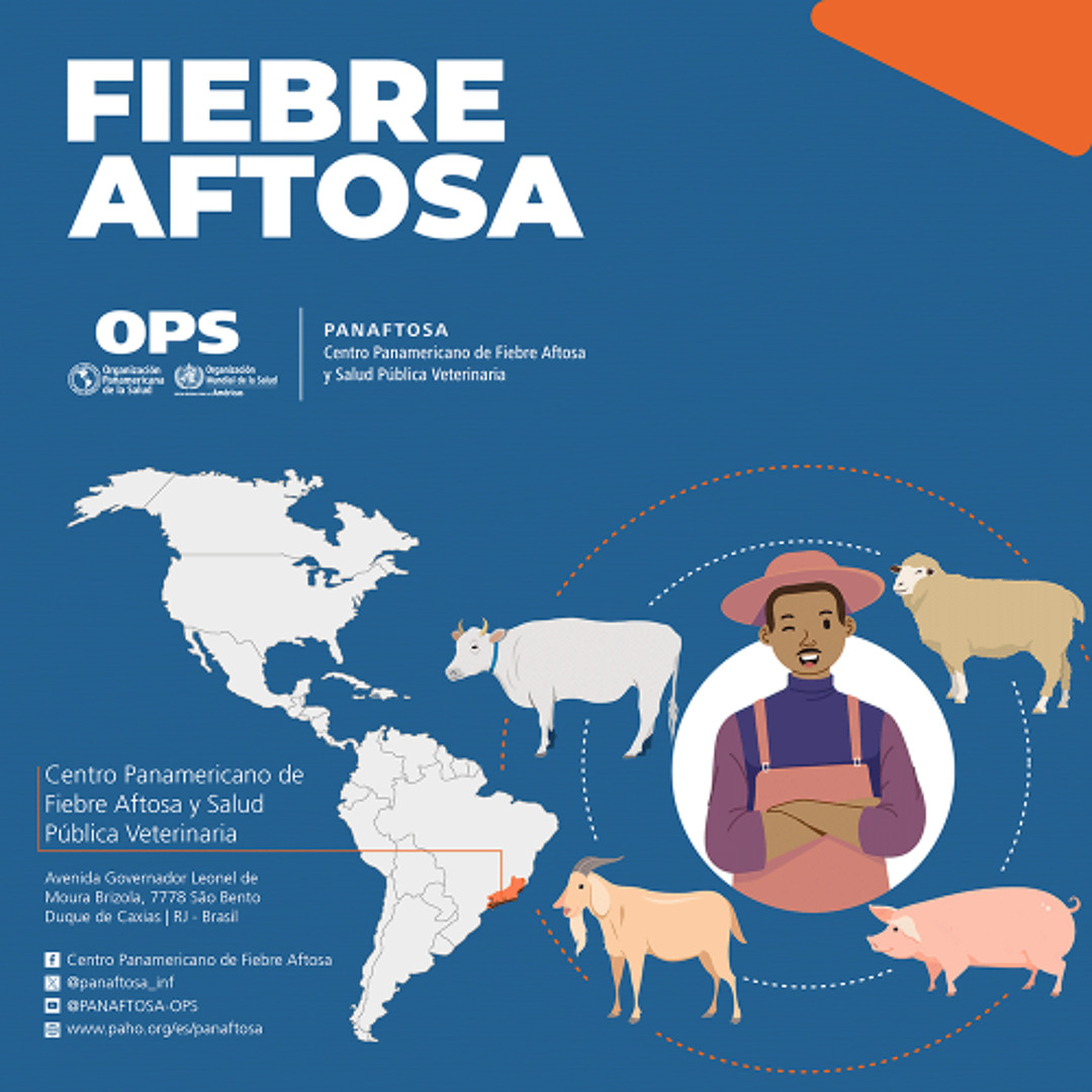 Stream EPISODIO 3: FIEBRE AFTOSA PODCAST by PAHO/WHO | Listen online ...