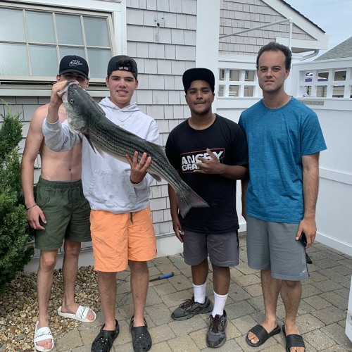 Stream Brinden | Listen to Waterfront playlist online for free on ...