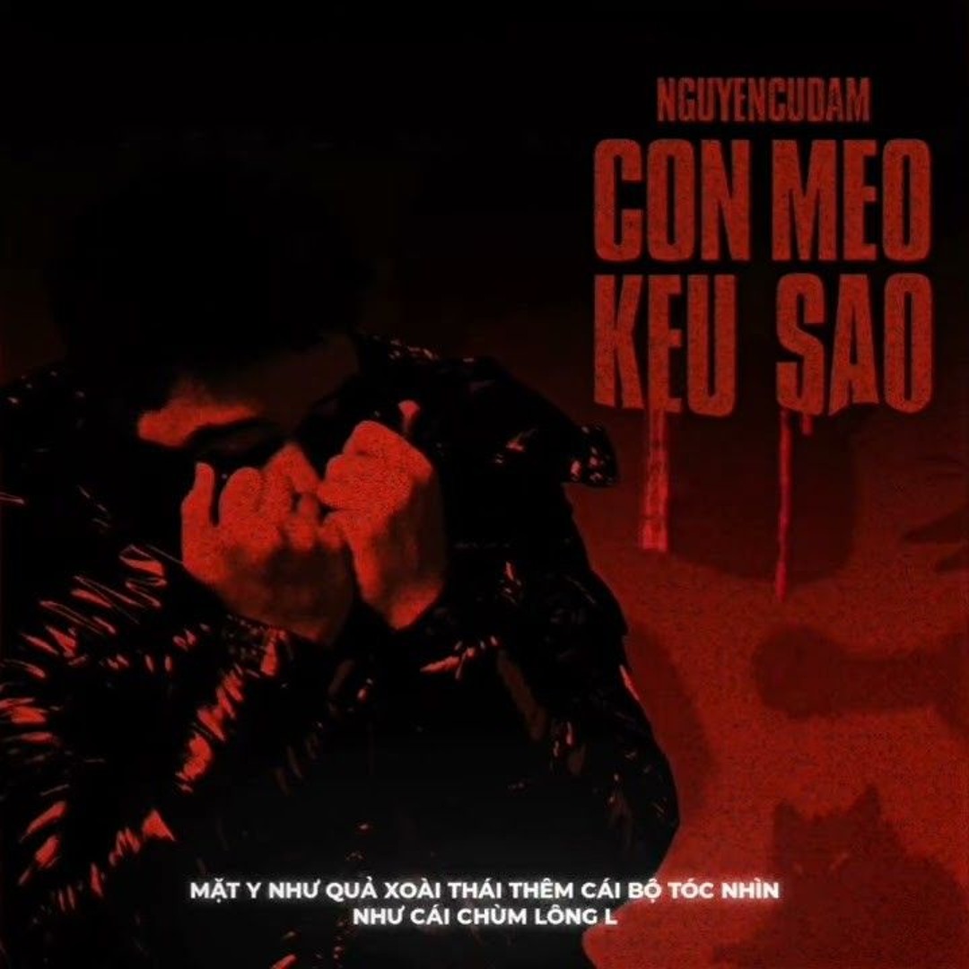 Stream CON MEO KEU SAO ( LIL TAKE DISSING )｜NGUYEN CU DAM by vugiabao ...