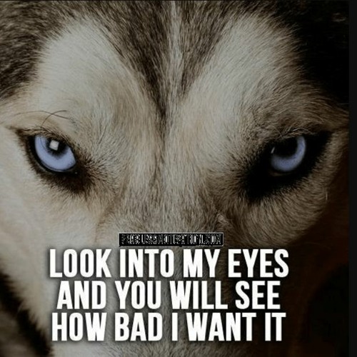 Stream Heartzones & BWGEN by PennY_Lane | Listen online for free on ...