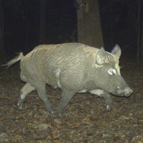 Stream Even The Unthinkable by robin reid drake | Listen online for ...