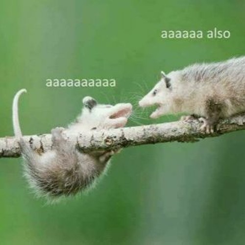 Stream aaaaaaaaaaaaaaaaaaaaaaaa2 by deep fry | Listen online for free ...