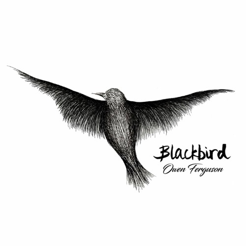 Stream Blackbird Beatles Cover by Owen Ferguson Listen online for free on SoundCloud