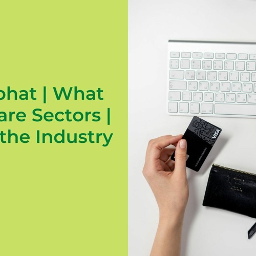 Stream What are Software Sectors | Future of the Industry | Ketki Prabhat by Ketki Prabhat ...
