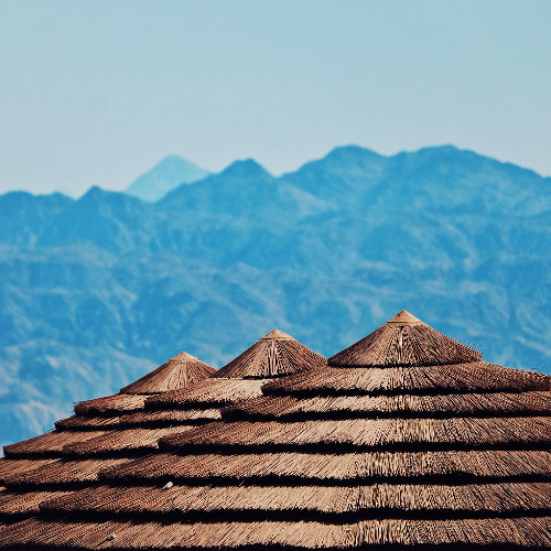 Stream Plavat - Honkakuteki (unreleased) by Plavat | Listen online for ...