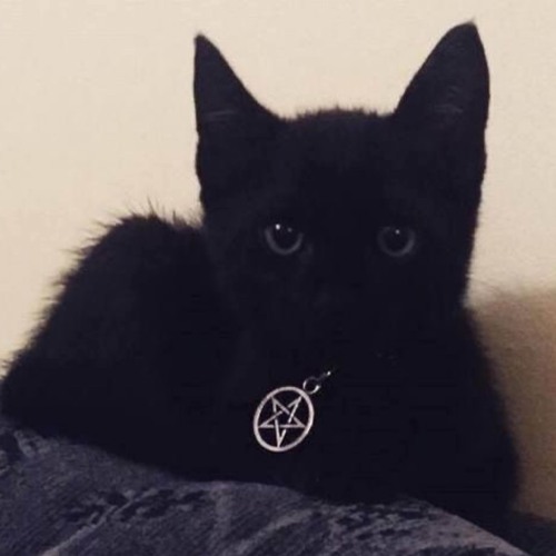 Stream Last Time Ft. Icemop by jxyvior | Listen online for free on ...