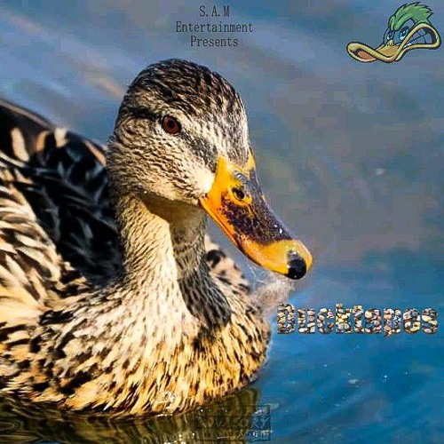 Stream Trap G. x Schrooch-Mac-Duck x Rizzle-R.B.E - NSA by Schrooh ...