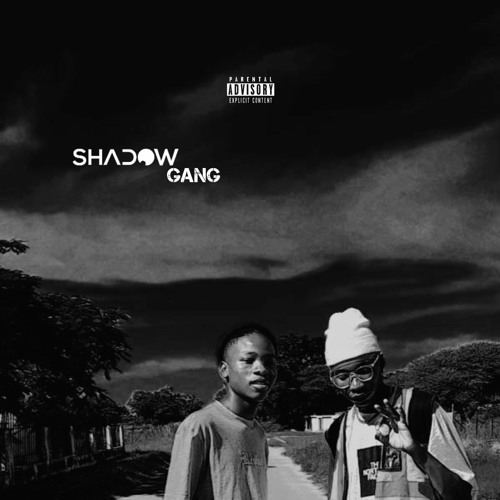 Stream The Rise (Shadow Gang) by Cheese B | Listen online for free on ...