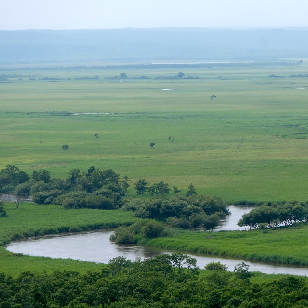 Stream Nagareru - Melodic Techno (Ableton Live Push2 + Modular Synth ...