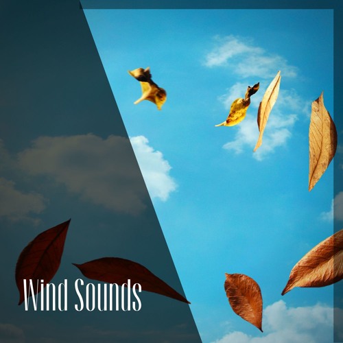 Stream Wind Sounds #5 by Wind Noise & Sleep | Listen online for free on ...
