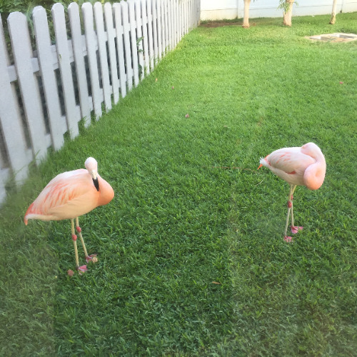 Stream Call it By its Name by DJ Tickle Monster | Listen online for ...