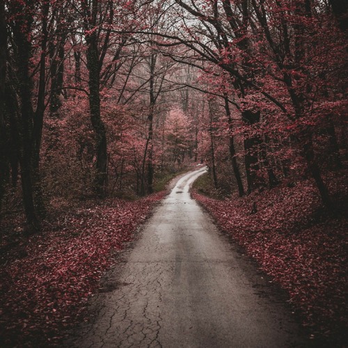 Stream Tasvire Roya by Minoram | Listen online for free on SoundCloud