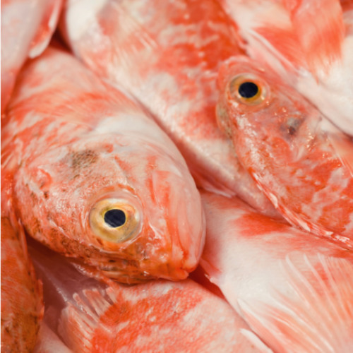 Stream CFIM 92,7 FM La radio des Iles de la Madeleine | Listen to CI ...