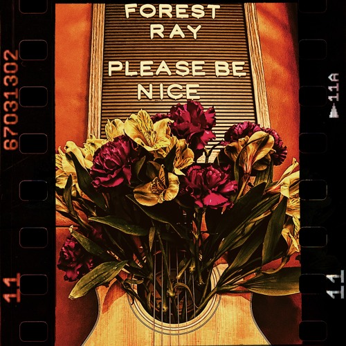 Stream Please Be Nice (To Me) by Forest Ray | Listen online for free on ...