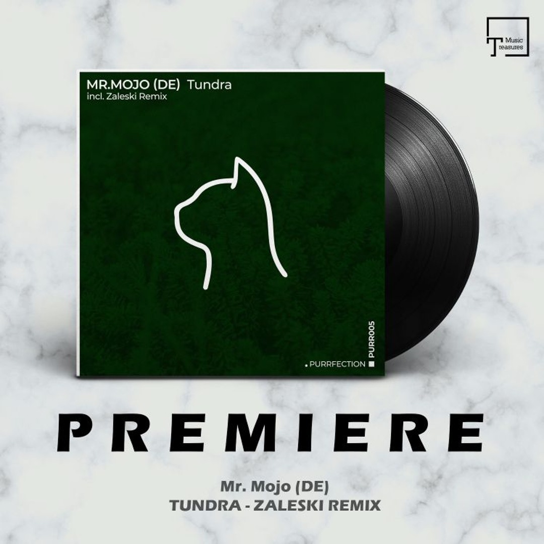 Stream PREMIERE: Mr. Mojo (DE) - Tundra (Zaleski Remix) [PURRFECTION ...