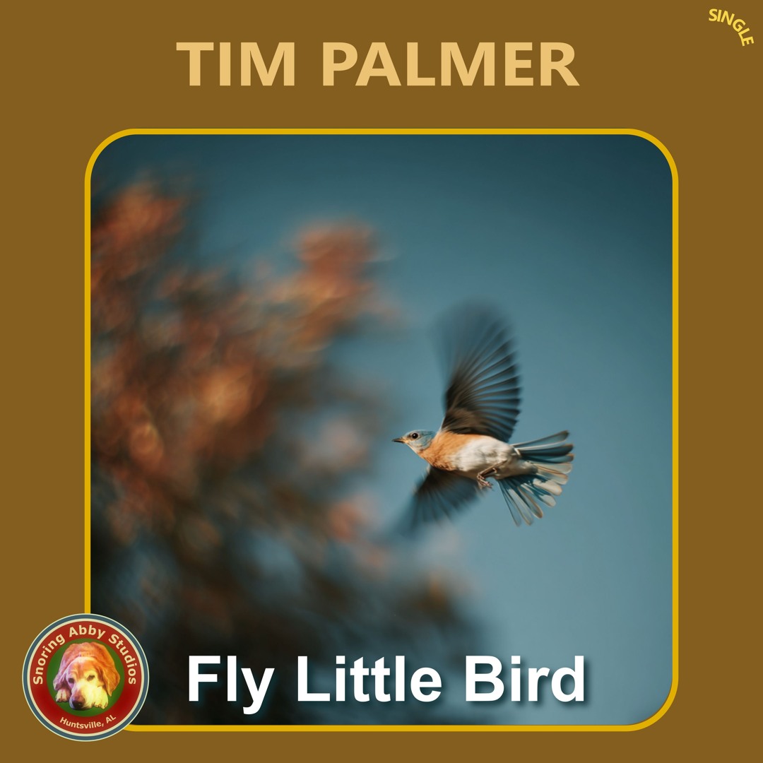 Stream Fly Little Bird by Tim Palmer | Listen online for free on SoundCloud